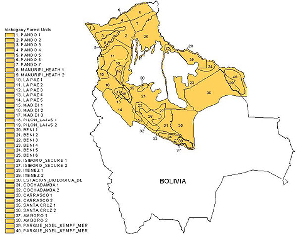Ecology and Society: Impacts of Unsustainable Mahogany Logging in ...